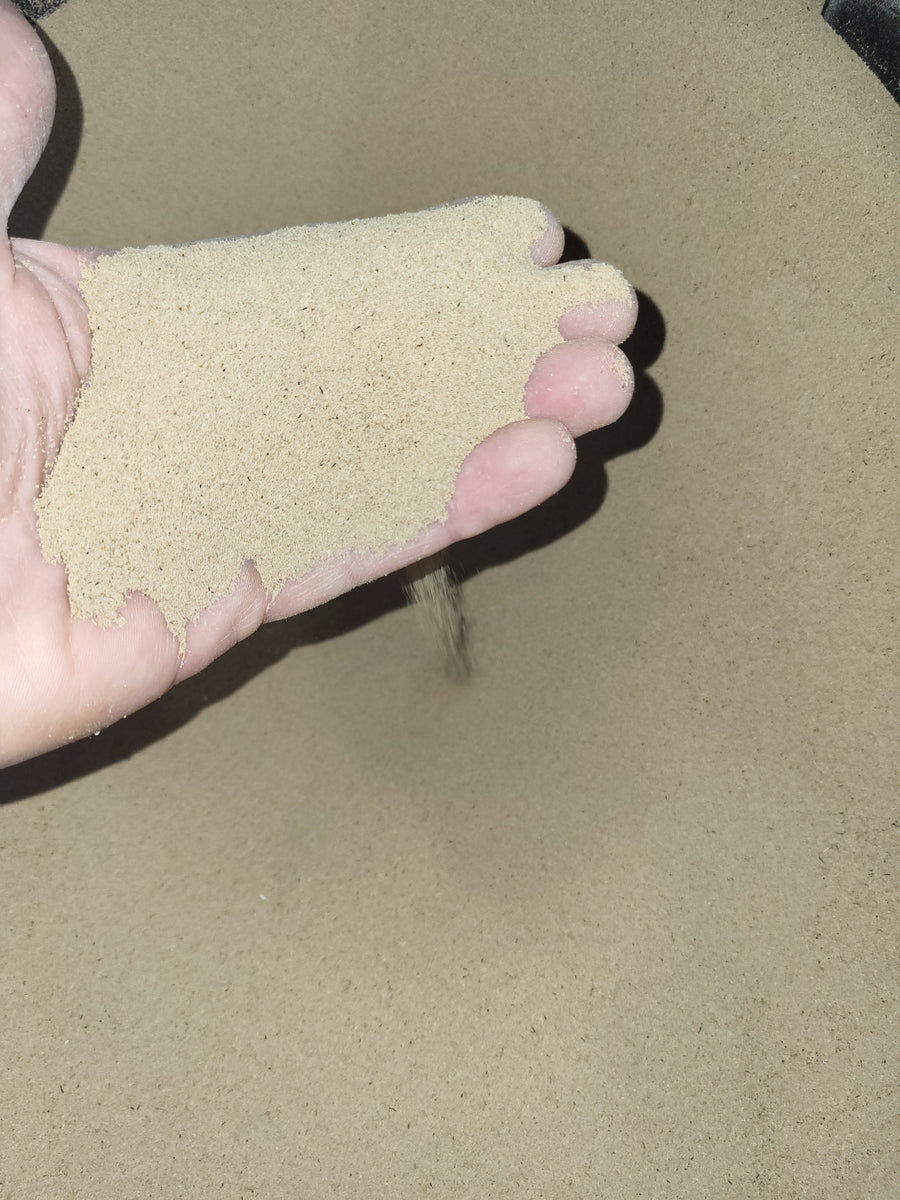 Unlocking the Power of Mealworm Frass for Healthy Soil and Plants ...